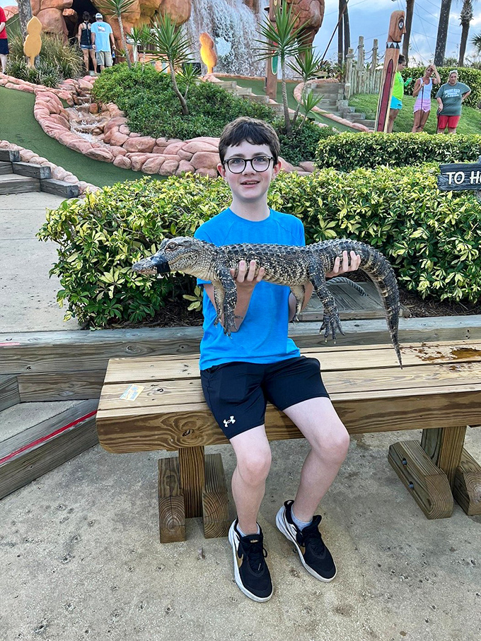 "Crikey, it's a little beauty!" as Steve Irwin would say. This pint-sized predator proves that big thrills come in small, scaly packages.