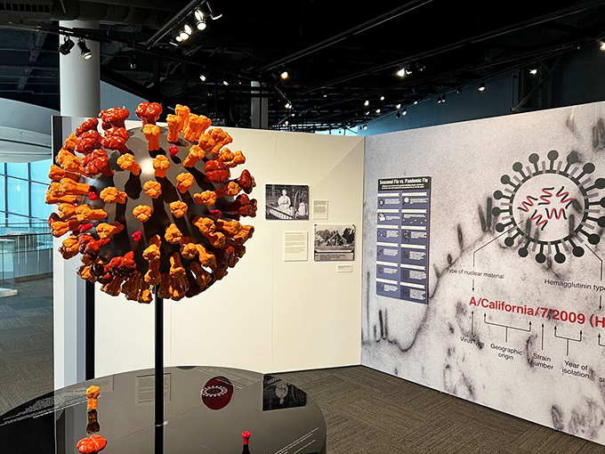 Meet the world's least cuddly stress ball—a giant virus model that's equal parts fascinating and slightly unsettling. Don't worry, it's not contagious!