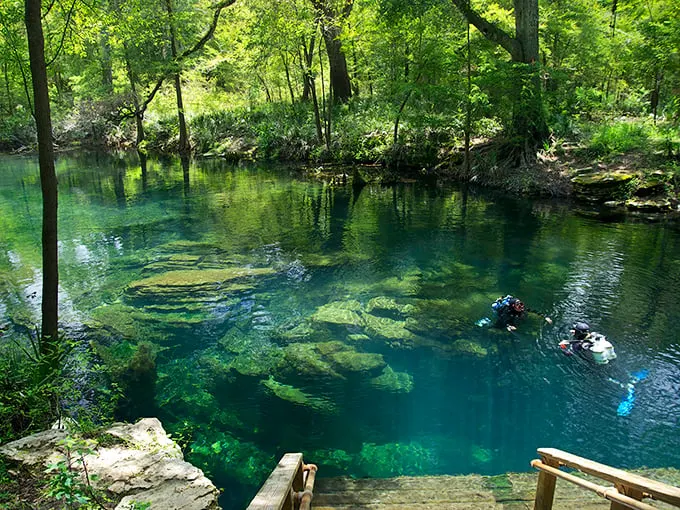 Scuba divers living their best "Little Mermaid" life. Who needs Atlantis when you've got this underwater paradise?