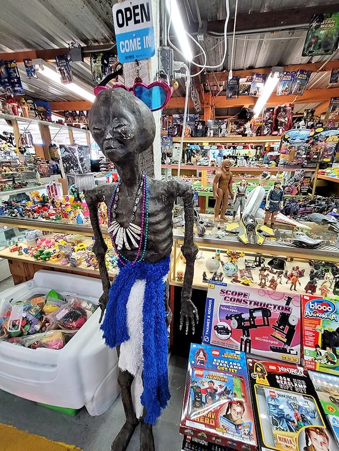 Toy story come to life! From nostalgic collectibles to modern gadgets, this booth is every kid's (and kid-at-heart's) dream.