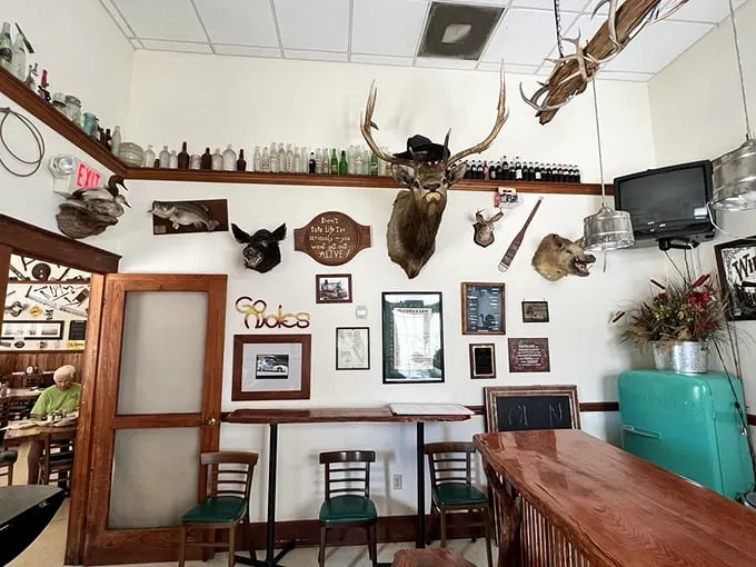 It's a regular Noah's Ark in here, minus the boat and plus some excellent lighting. Who knew taxidermy could be so... appetizing?