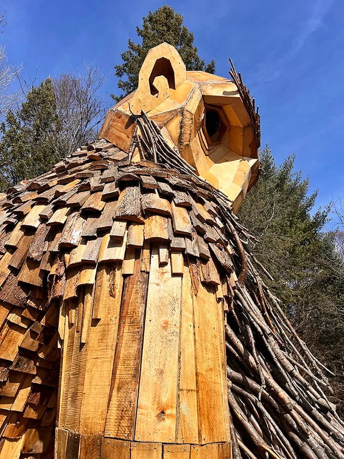 Wooden you know it? Benny's beard is a tangled masterpiece of twigs and branches. Move over, hipsters – this is the ultimate in sustainable facial hair.