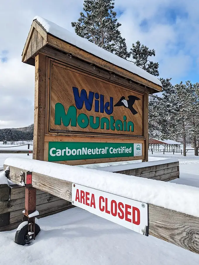 Snow or shine, the thrill is fine! Wild Mountain's indoor alpine slide: where winter fun doesn't hibernate when the snow melts.