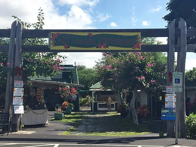 Imagine if Indiana Jones opened a gift shop in Hawaii. That's Ali'i Gardens Marketplace – adventure and souvenirs, all in one!