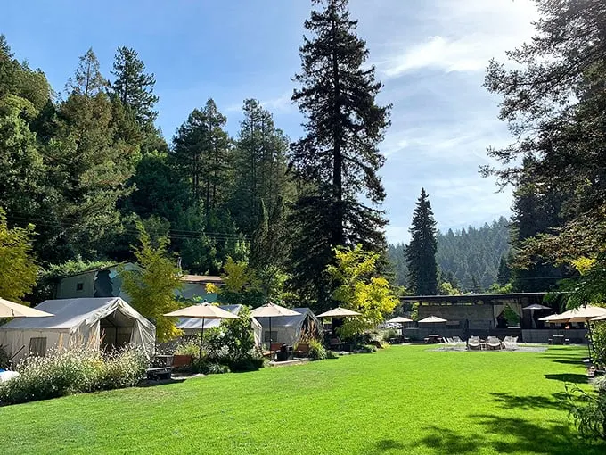 Guerneville's Russian River isn't the only thing flowing freely. The wine and craft beer scene here is enough to make you want to float away.