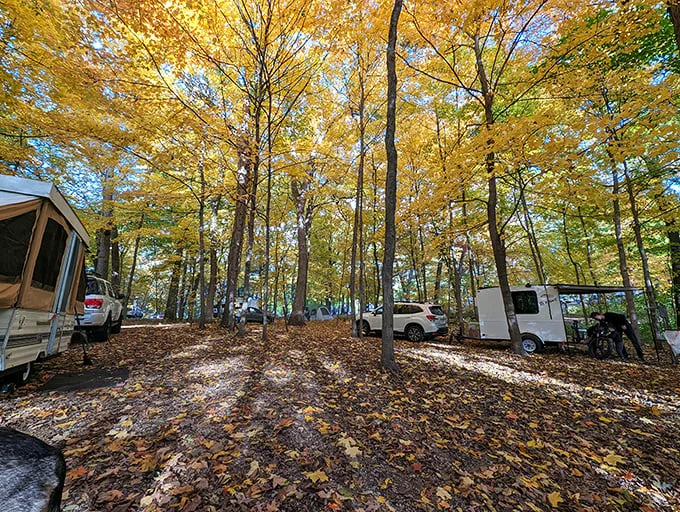 Fall camping: where the leaves change color and you change into three more layers. Cozy with a side of crisp!