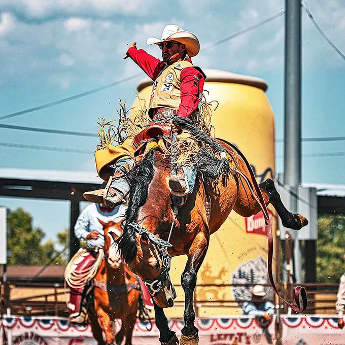 Frontier Days Rodeo event: Yeehaw! Hold onto your hats, folks. This cowboy's making that bucking bronco look like a kiddie ride at the county fair.
