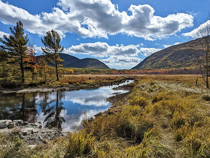 Great Meadow: where the grass is always greener, the mountains are always majestic, and your "out of office" reply is always on.