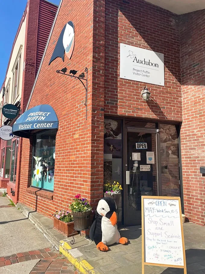 Project Puffin Visitor Center: Where bird nerds and casual observers flock together. It's like a puffin social club, minus the fishy breath and awkward mating dances.