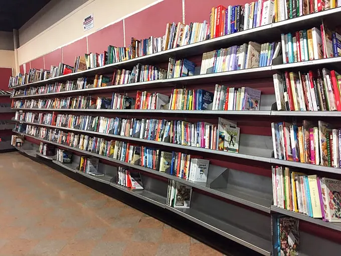 Bookworms, prepare to get lost in literary heaven! From dog-eared paperbacks to leather-bound tomes, there's a story for every reader.