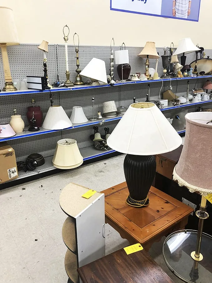 Illuminating finds at every turn! This lamp lineup is ready to light up your life – and your living room – with vintage charm.