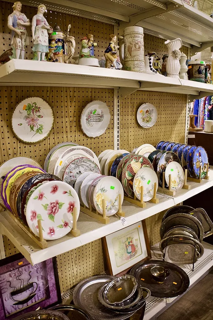 Dish-covery zone! From kitschy to classy, these plates could tell a thousand stories – if only they could talk between bites.