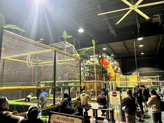 Jurassic jungle gym or prehistoric playground? Either way, this multi-level adventure zone is where little explorers can climb their way to the top of the food chain.