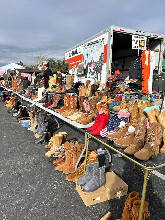These boots were made for… everything! A cowboy's dream or a fashionista's playground, this footwear feast has something for every sole.