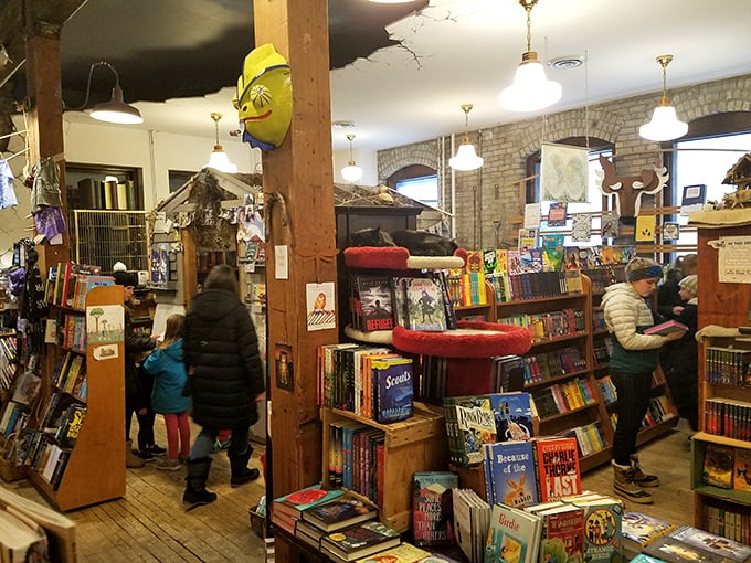 Forget the Dewey Decimal System – at Wild Rumpus, browsing is an art form. These book hunters are on a quest for their next great read.