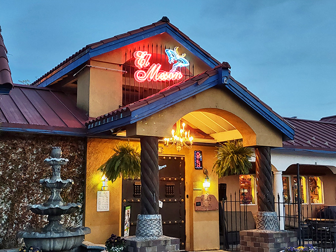 "El Meson's garden patio: Where plant parents and food lovers unite. It's like dining in a tropical oasis."