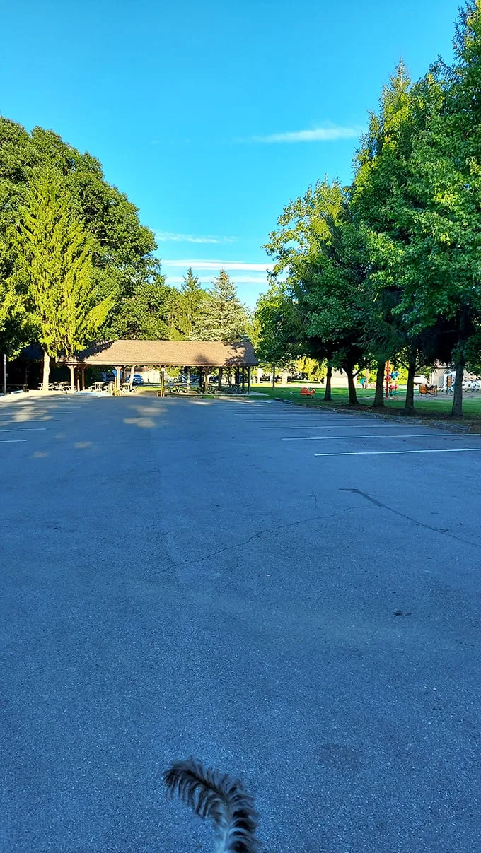 Parking lot or portal to adventure? This unassuming spot is where the magic begins. Time to trade horsepower for foot power!