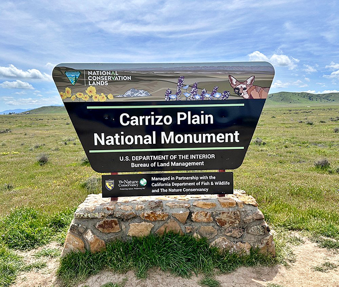 The sign says Carrizo Plain, but we read 'Paradise Found'. Time to trade your screen saver for the real deal!