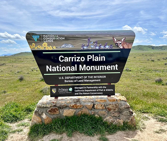 The sign says Carrizo Plain, but we read 'Paradise Found'. Time to trade your screen saver for the real deal!