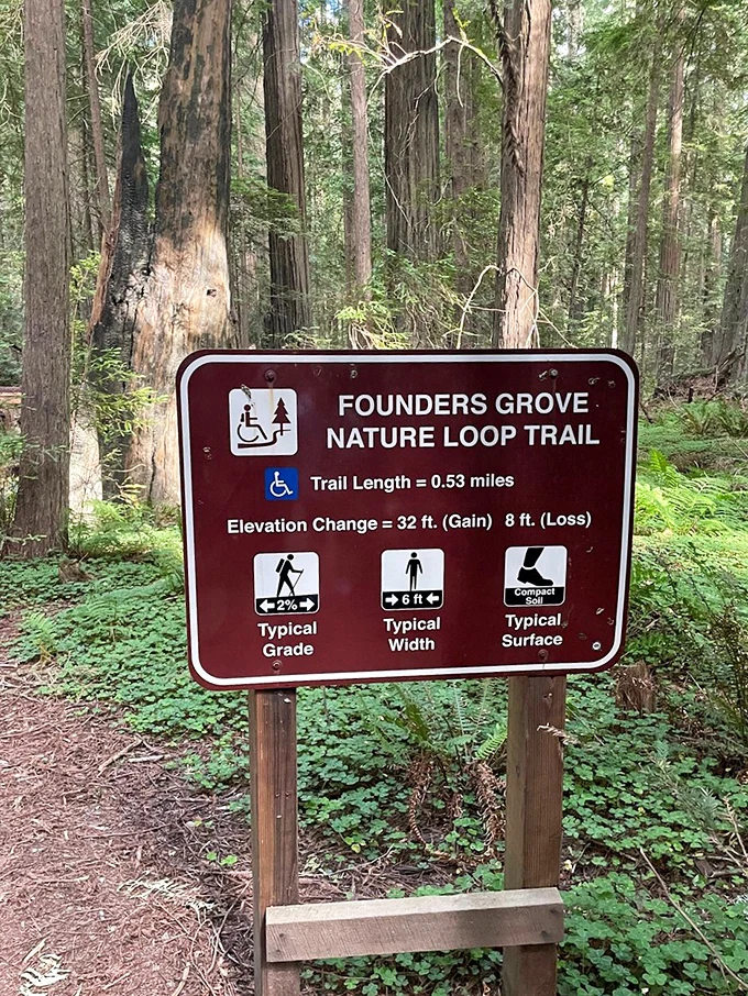 Choose your own adventure! This trail sign is like a real-life version of those old "Choose Your Own Adventure" books.