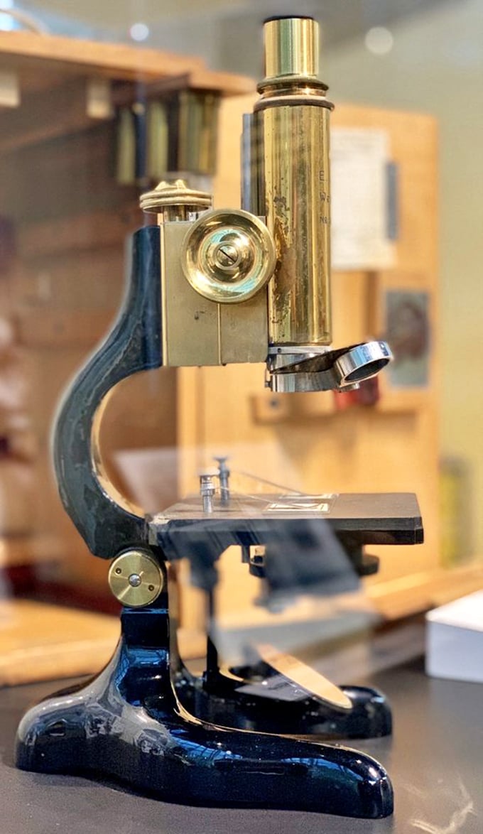 Sherlock Holmes meets Louis Pasteur with this vintage microscope. It's elementary, my dear bacteria!