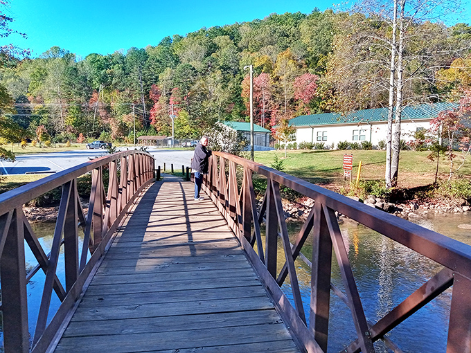 Who needs a red carpet when you've got this wooden walkway? It's nature's VIP entrance, and everyone's invited!