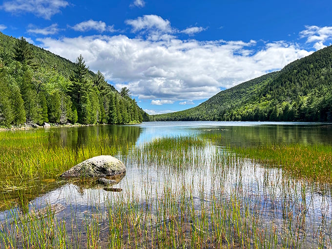 Bubble Pond: proving that "still waters run deep" isn't just a saying, it's a slice of Maine paradise. Time to channel your inner Thoreau!