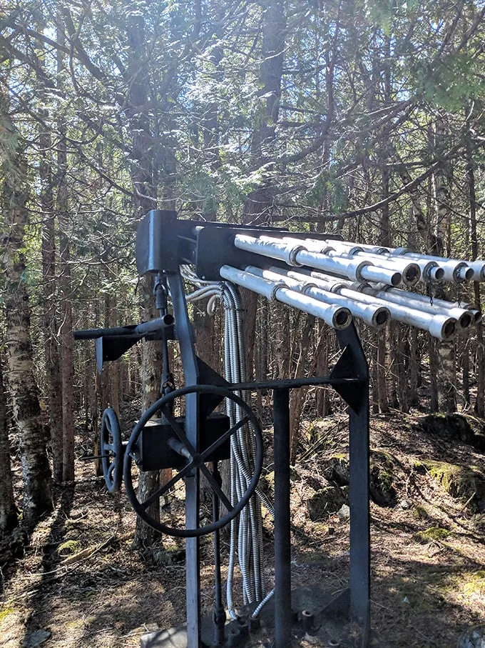 The OG weather manipulator. Before we had cloud seeding, Reich had this bad boy pointing skyward, ready to wrestle with Mother Nature herself.