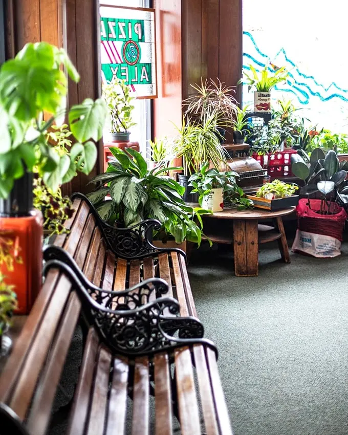 Plants, pizza, and retro vibes - oh my! This corner is like a 1970s sitcom set, but with better lighting and tastier props.