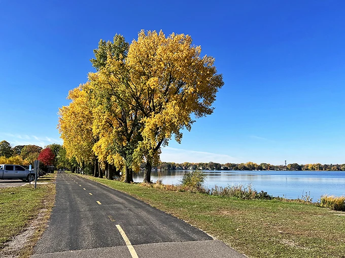 Fall in Minnesota: Where the trees put on a show more dazzling than a Broadway musical, and twice as colorful!