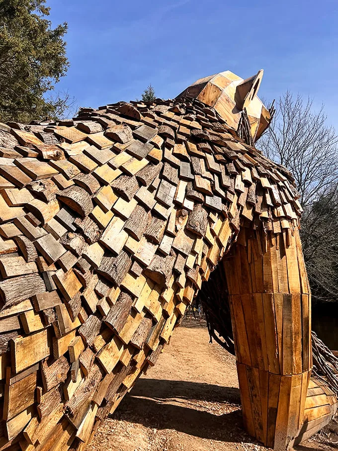 Shingle all the way! Benny's back is a patchwork quilt of wooden scales that would make a dragon green with envy.