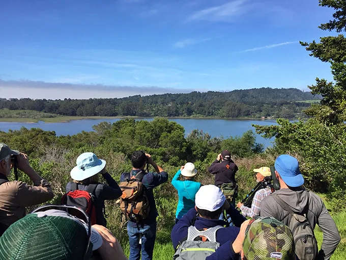Birdwatchers unite! Here, even the most amateur ornithologist can feel like a regular John James Audubon.