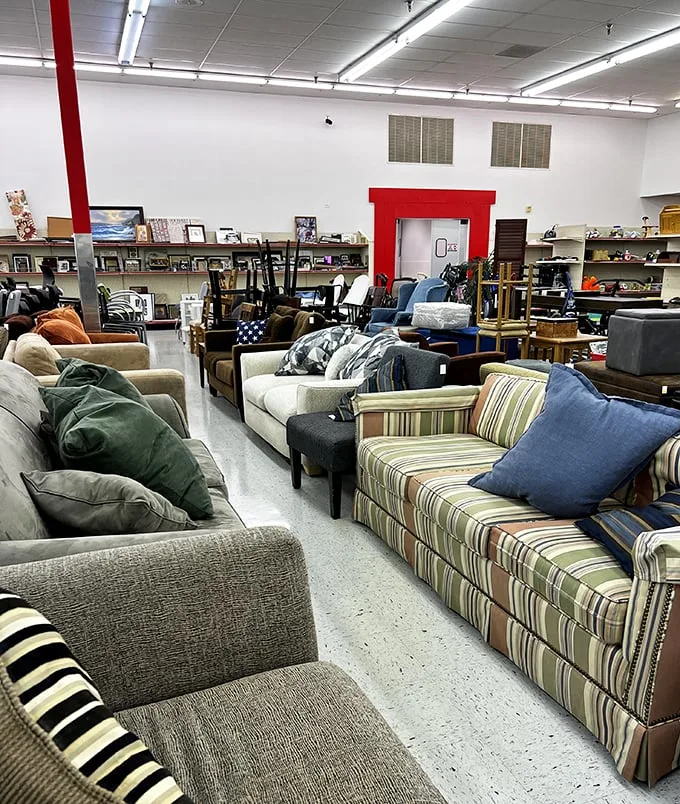 SuperThrift: Where 'window shopping' means peering into the past. It's like a museum, but everything's for sale!