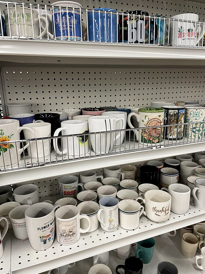 Mug collectors, brace yourselves! This shelf is a caffeinated dream come true, with enough options to match every mood and personality.