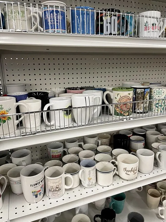 Mug collectors, brace yourselves! This shelf is a caffeinated dream come true, with enough options to match every mood and personality.