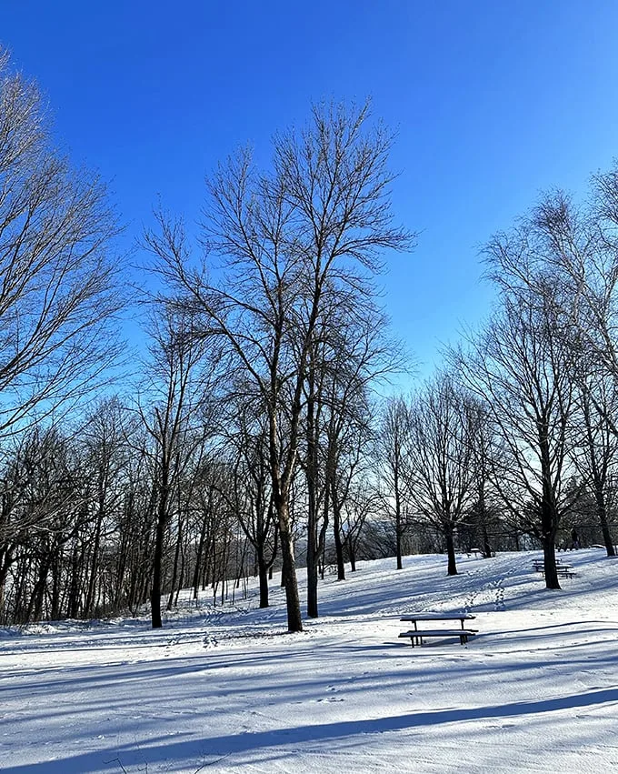 Winter wonderland or set of Frozen? Either way, you'll want to build a snowman and sing "Let It Go."