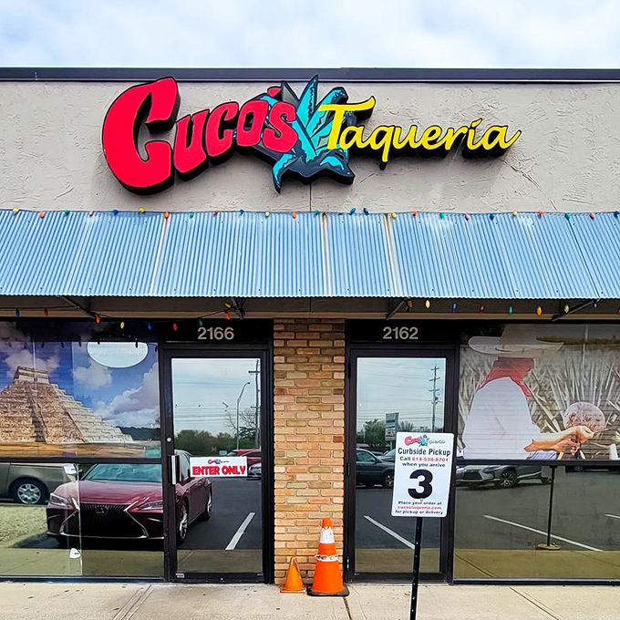 "At Cuco's, every day is a fiesta for your taste buds. No piñata necessary—the flavors do all the celebrating."