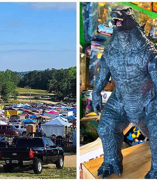 alabama countless treasures market ftr