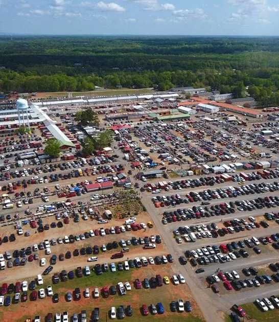 bargain markets south carolina ftr