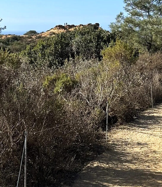 beginner friendly hikes california FTR