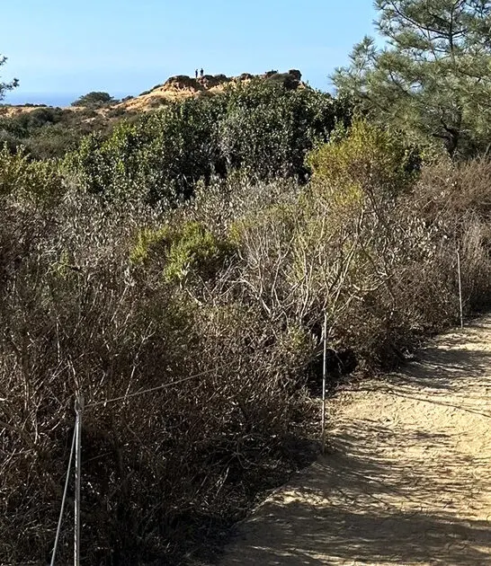 beginner friendly hikes california FTR