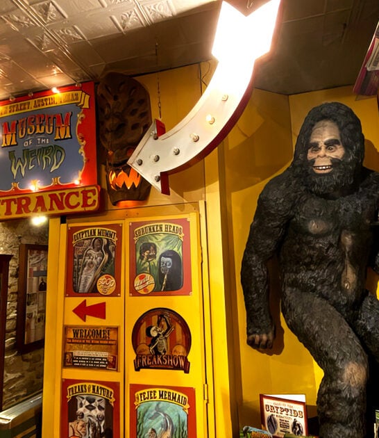 bizarre museum austin tx ftr
