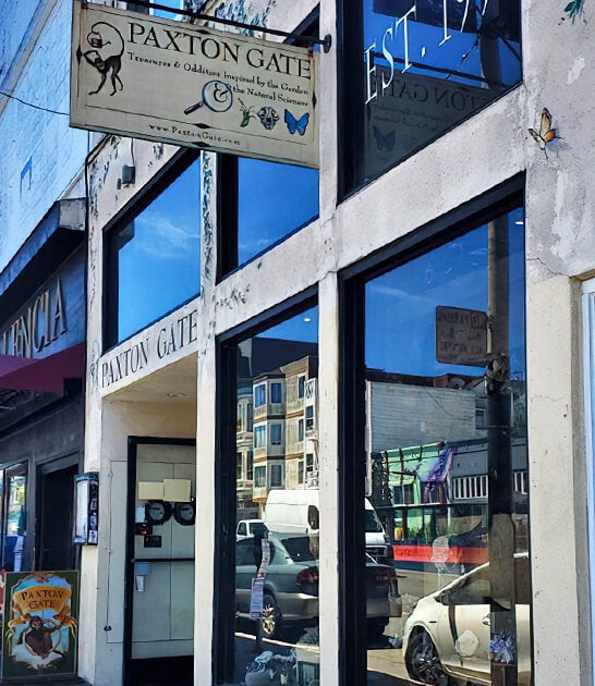 bizarre oddities store california ftr