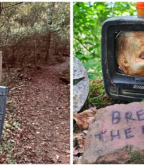 eerie art trail georgia ftr