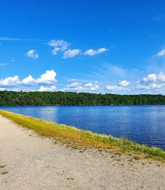 fascinating state park massachusetts ftr