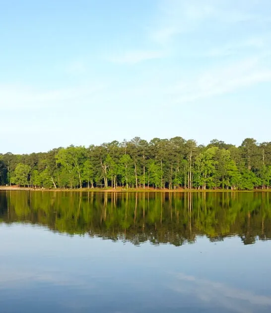 fascinating state park mississippi ftr