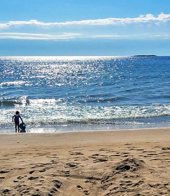 fascinating state park saco me ftr