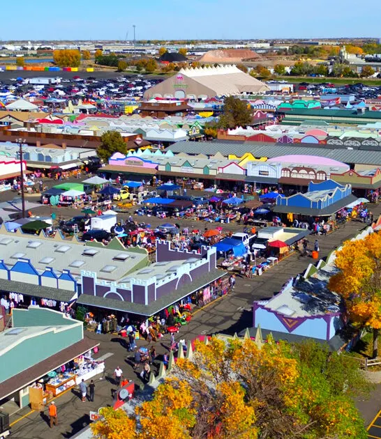 flea market colorado bargain ftr