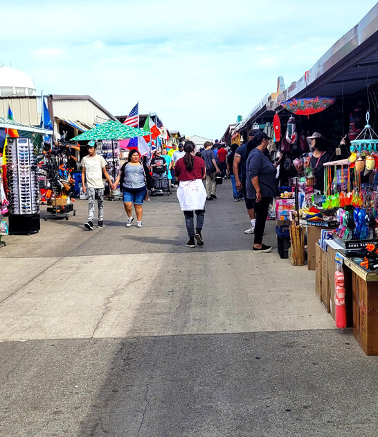 flea market grand prairie tx ftr