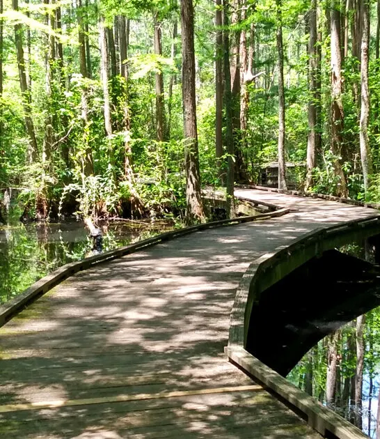 hidden picturesque south carolina ftr